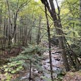 Sabbaday Falls , New Hampshire - 1,351 Reviews, Map | AllTrails