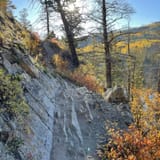 Lower Cataract Loop Trail, Colorado - 890 Reviews, Map | AllTrails