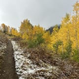 Wasatch Crest Trail, Utah - 363 Reviews, Map | AllTrails