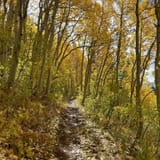 Wasatch Crest Trail, Utah - 363 Reviews, Map | AllTrails