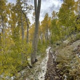 Wasatch Crest Trail, Utah - 363 Reviews, Map | AllTrails