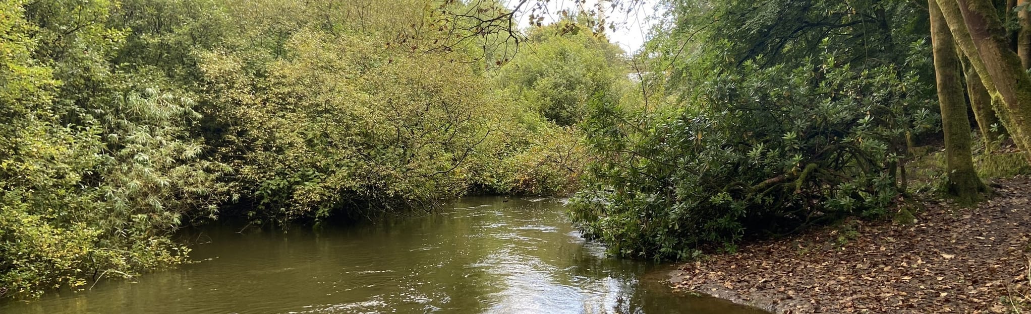Leslie and River Leven Circular, Fife, Scotland - 31 Reviews, Map ...