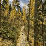 Meadow Loop and Ridge Trail, Colorado - 3,229 Reviews, Map | AllTrails