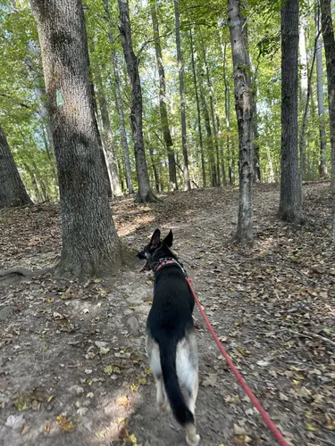 2023 Best Short Trails in Warriors' Path State Park | AllTrails