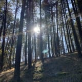 Kenna Cartwright Tower Trail, British Columbia, Canada - 346 Reviews ...