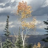 Thunderhead Hiking Trail, Colorado - 907 Reviews, Map | AllTrails