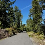 Waughop Lake Loop , Washington - 698 Reviews, Map | AllTrails
