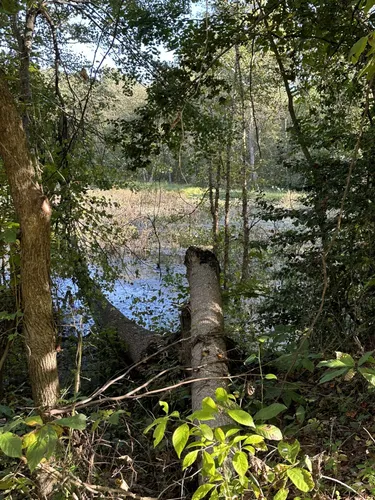 Best Hikes and Trails in Ward Farm Recreation and Nature Park | AllTrails