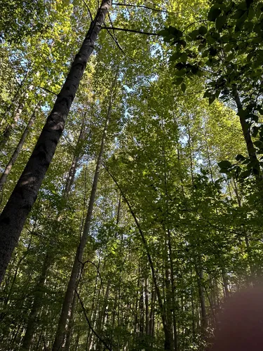 Best Hikes and Trails in Ward Farm Recreation and Nature Park | AllTrails
