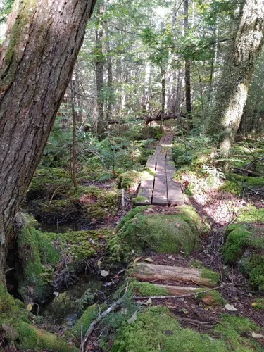 Best Hikes and Trails in Spednic Lake Provincial Park | AllTrails