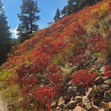 Fowler Trail, Colorado - 1,858 Reviews, Map | AllTrails