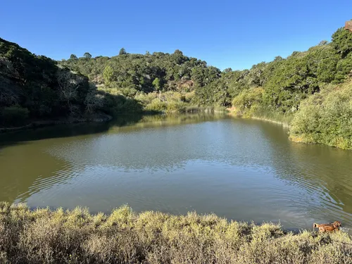 Best Hikes and Trails in Water Dog Lake Open Space | AllTrails