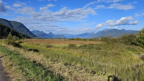 10 Best Trails and Hikes in Port Coquitlam | AllTrails