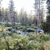 Indian Pools Trail, California - 699 Reviews, Map | AllTrails