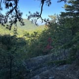 Coon Den Falls via Appalachian Trail, Tennessee - 335 Reviews, Map ...