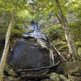 Coon Den Falls via Appalachian Trail, Tennessee - 335 Reviews, Map ...