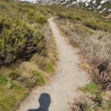 Illawong Walk, New South Wales, Australia - 330 Reviews, Map | AllTrails