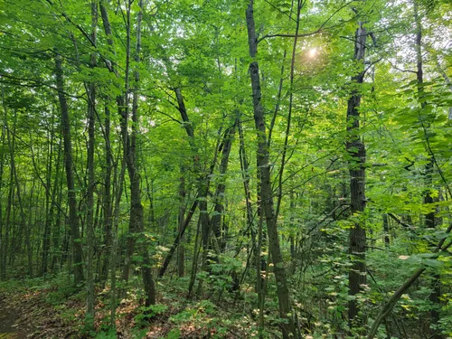 2023 Best Beach Trails in Two Rivers | AllTrails