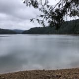 Jenkinson Lake Loop, California - 2,450 Reviews, Map | AllTrails