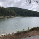 Jenkinson Lake Loop, California - 2,450 Reviews, Map | AllTrails