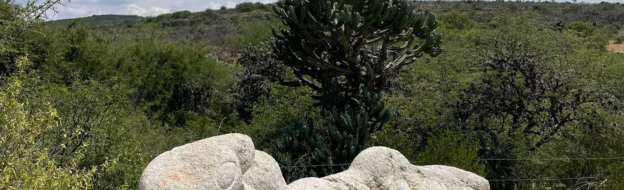 Ruta Colón Querétaro, Querétaro, Mexico - Map, Guide | AllTrails