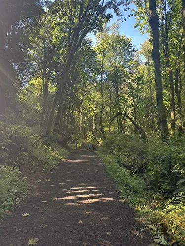 2023 Best River Trails in Cultus Lake South | AllTrails