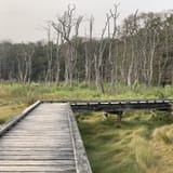 Cornell Farm Bridge, Massachusetts - 400 Reviews, Map | AllTrails