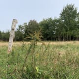 Cornell Farm Bridge, Massachusetts - 400 Reviews, Map | AllTrails