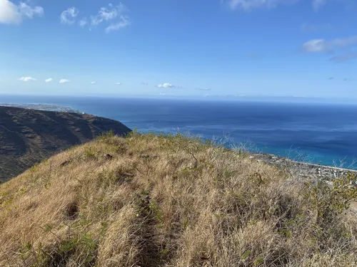 Best Hikes and Trails in Puaena Point Beach Park | AllTrails