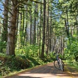 Row River Trail, Oregon - 232 Reviews, Map | AllTrails