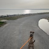 Fort Rodman Loop, Massachusetts - 140 Reviews, Map | AllTrails