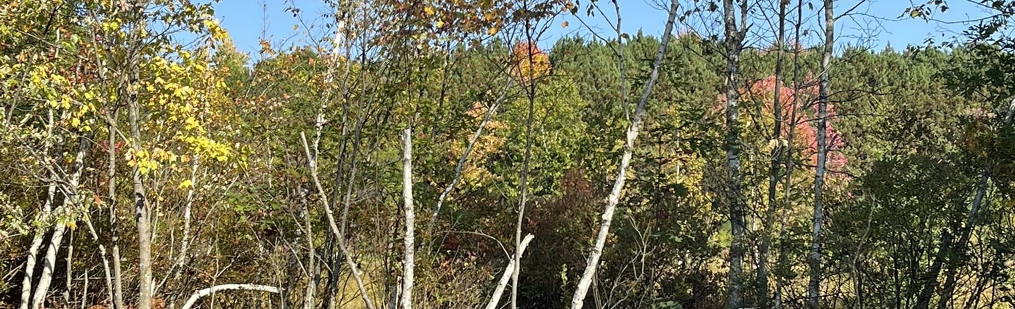 Cran-Hill Ranch Loop, Michigan - 29 Reviews, Map | AllTrails