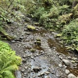 Quinault Loop, Washington - 1,604 Reviews, Map | AllTrails