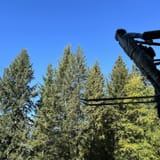 Nels Nelsen Trail, British Columbia, Canada - 158 Reviews, Map | AllTrails