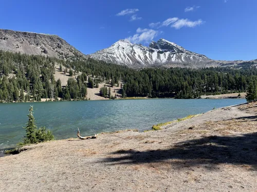 10 Best Dog Friendly Trails in Oregon | AllTrails