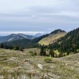Excelsior Pass Trail, Washington - 571 Reviews, Map | AllTrails