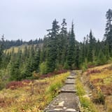 Excelsior Pass Trail, Washington - 571 Reviews, Map | AllTrails