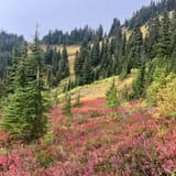 Excelsior Pass Trail, Washington - 571 Reviews, Map | AllTrails