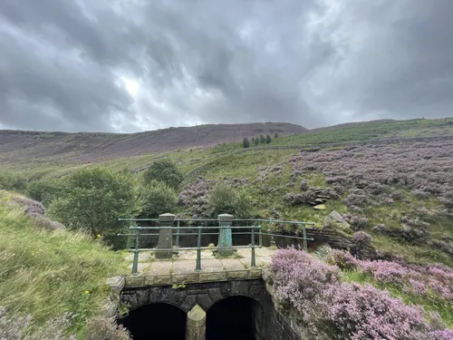 10 Best Trails, Walks, and Paths in Oldham | AllTrails