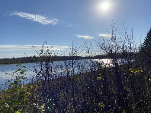 Best Camping Trails in McCreary | AllTrails
