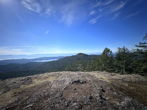 Best Forest Trails in Sooke Mountain Provincial Park | AllTrails
