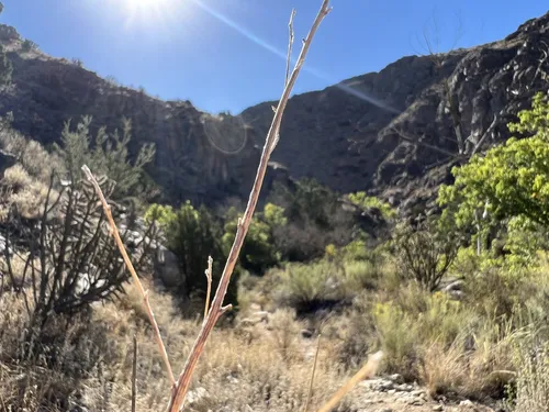 2023 Best Views Trails in Corrales | AllTrails