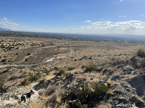 2023 Best Views Trails in Corrales | AllTrails