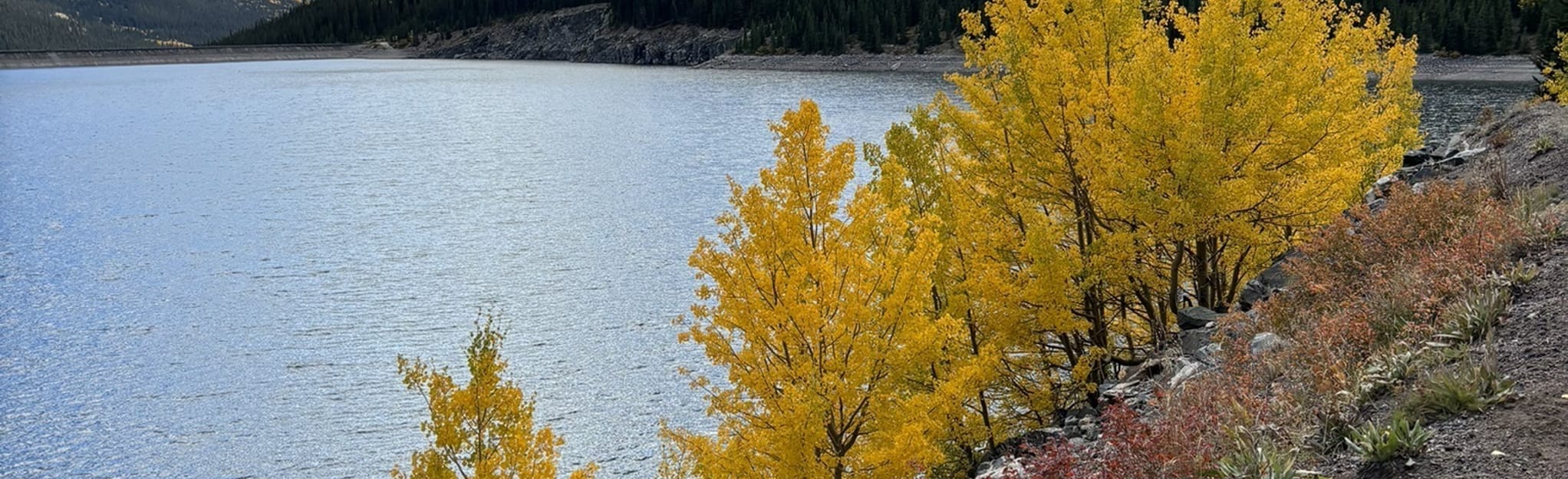 Montgomery Reservoir and Wheeler Lake OHV Trail, Colorado - 90 Reviews ...