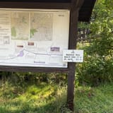 Mount Hayes via Mahoosuc Trail, New Hampshire - 116 Reviews, Map ...