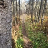 Amisk Wuche Trail, Alberta, Canada - 483 Reviews, Map | AllTrails