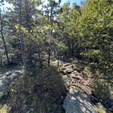 Surprise Lake Loop, New Jersey - 1,377 Reviews, Map | AllTrails