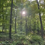 Parnell Tower Trail, Wisconsin - 817 Reviews, Map | AllTrails