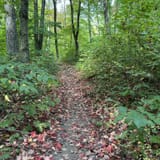 Parnell Tower Trail, Wisconsin - 817 Reviews, Map | AllTrails