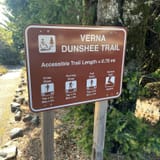 Verna Dunshee Trail and Plank Trail at Mount Tam East Peak, California ...